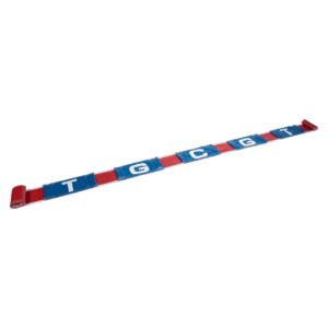 Hadar Athletic Adjustable Linemen Splits Marker | USA Handmade
