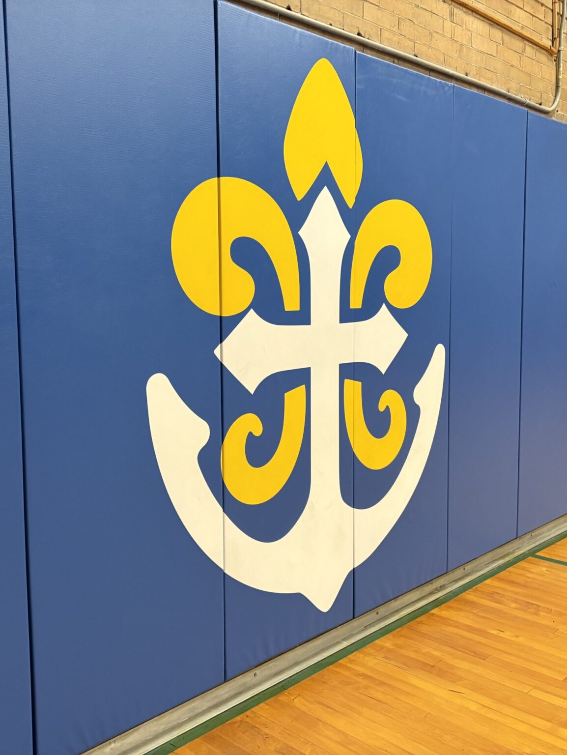 Gym Wall Padding | Custom Padding for Athletic Facilities