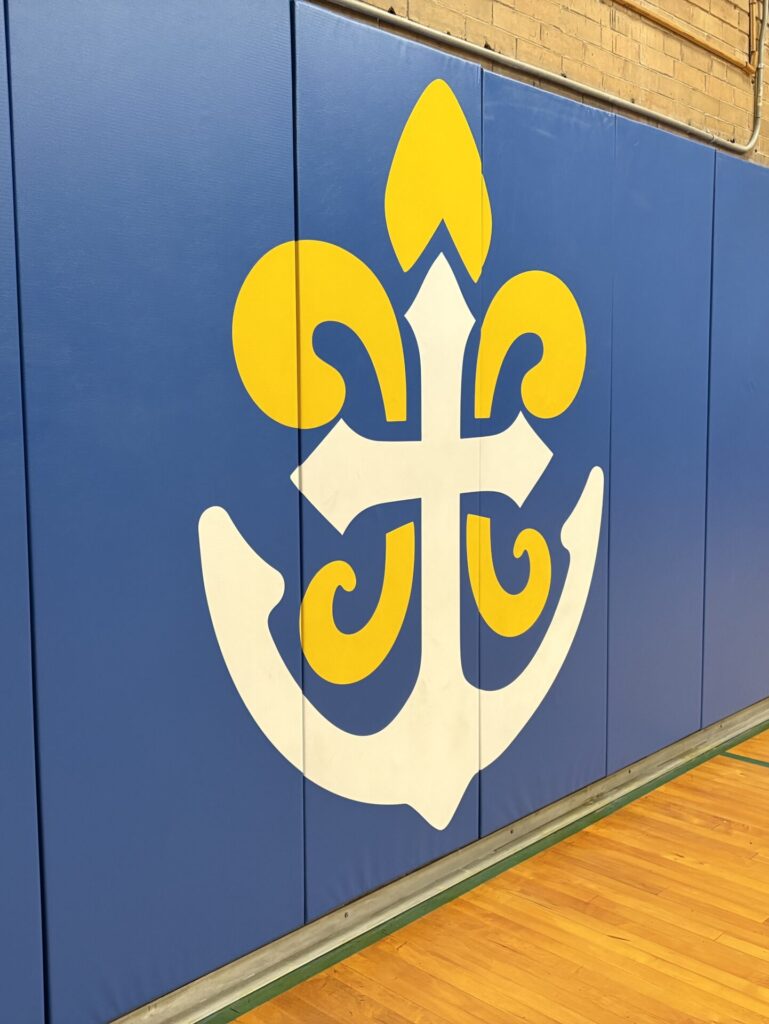 Gym Wall Padding | Custom Padding for Athletic Facilities